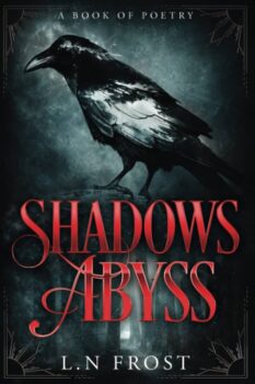 Review: Shadows Abyss by L. N. Frost - Cemetery Dance Online