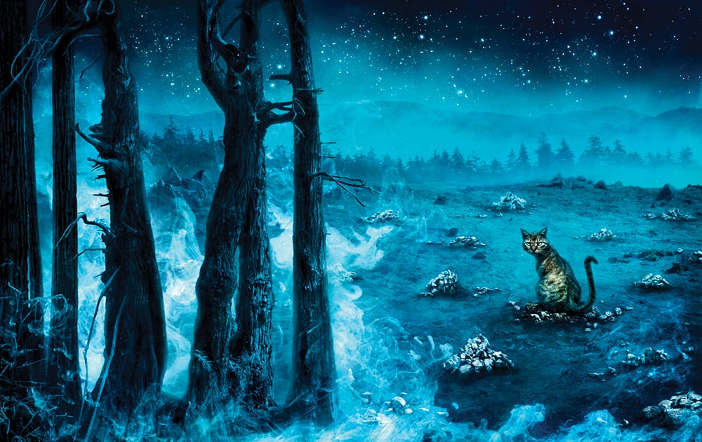 Pet Sematary: The Deluxe Special Edition: Cemetery Dance Publications